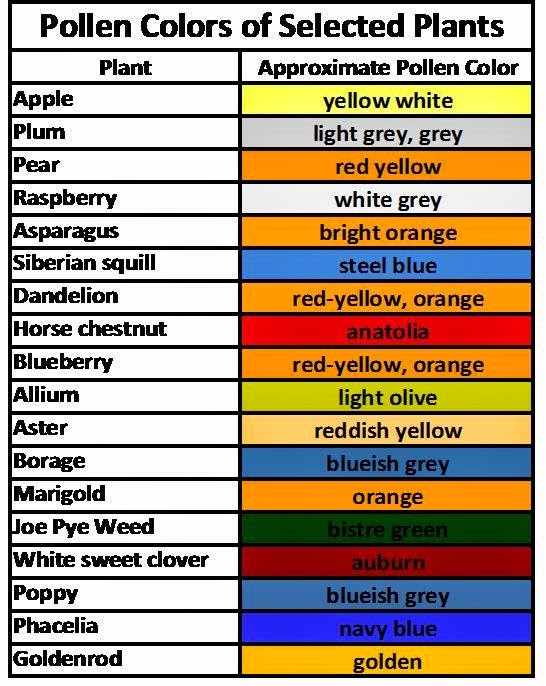 Buzzing Across America: Pollen: the Protein of the Hive