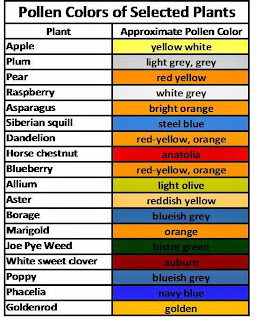 Buzzing Across America: Pollen: the Protein of the Hive