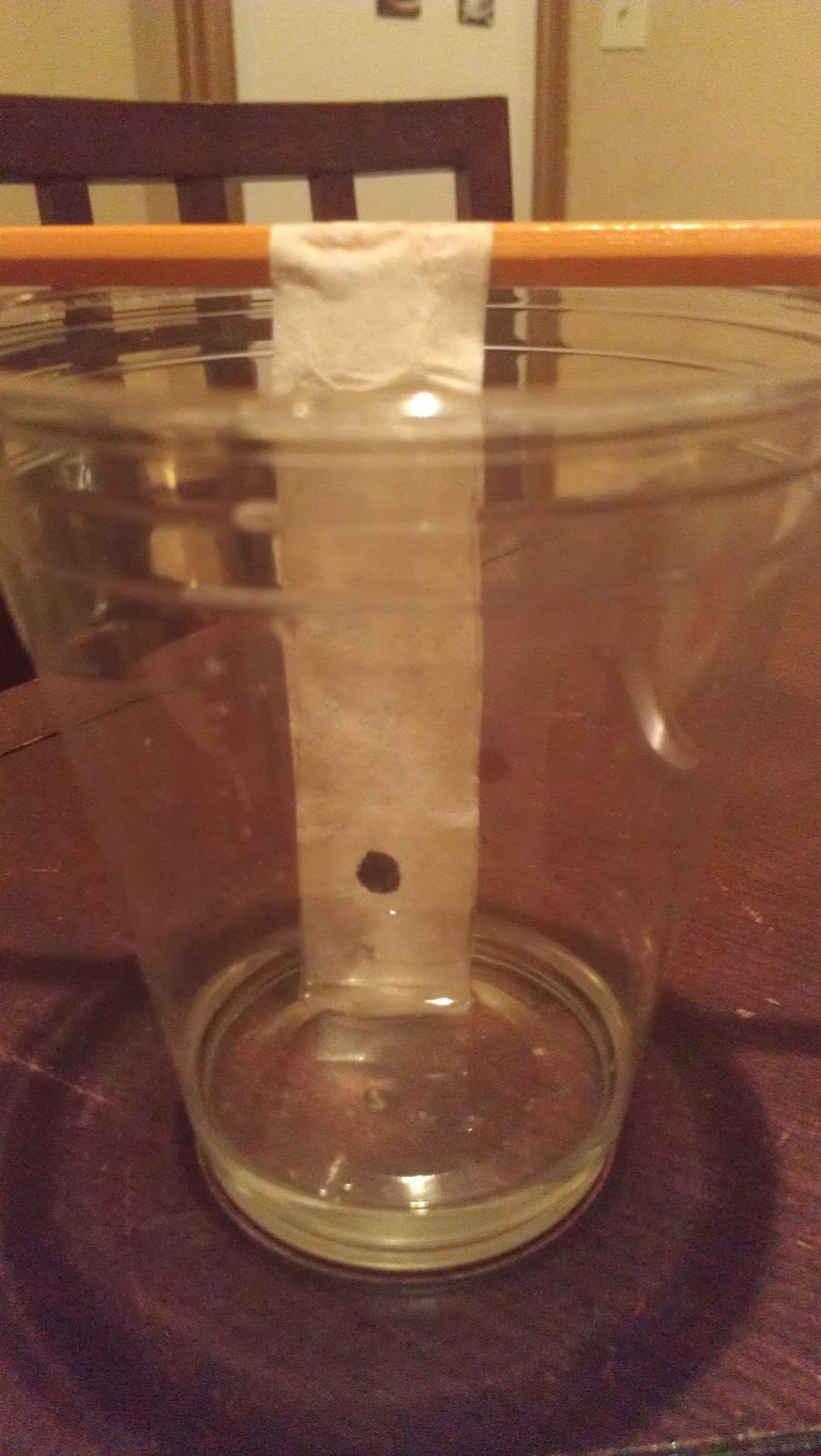 Paper Chromatography : Paper Chromatography Experiment