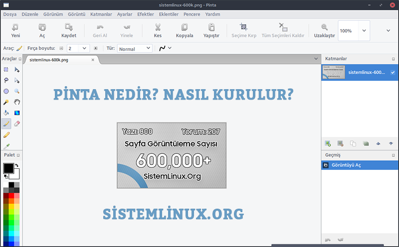 Pinta Nedir? Nasıl Kurulur?