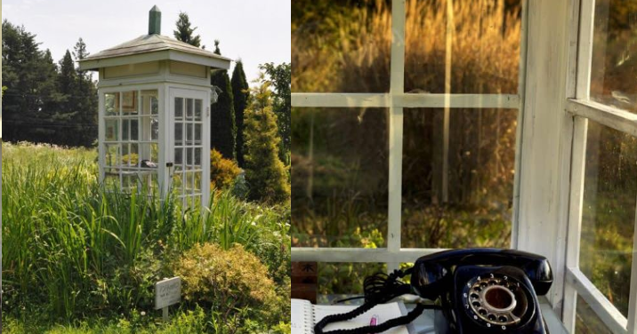 This Japan's 'wind phone' allows people to talk to departed loved ones ...