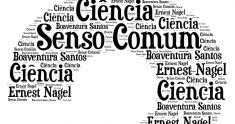 O que é senso comum?