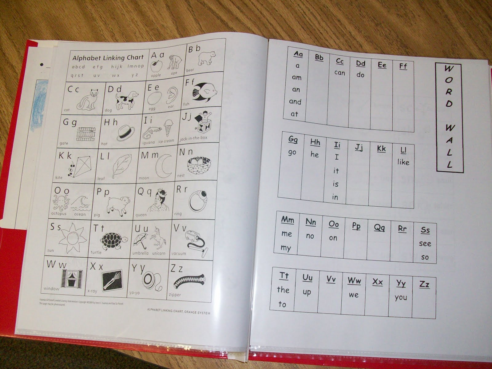 It's a Jungle Out There! A Kindergarten Blog: Writing Folders