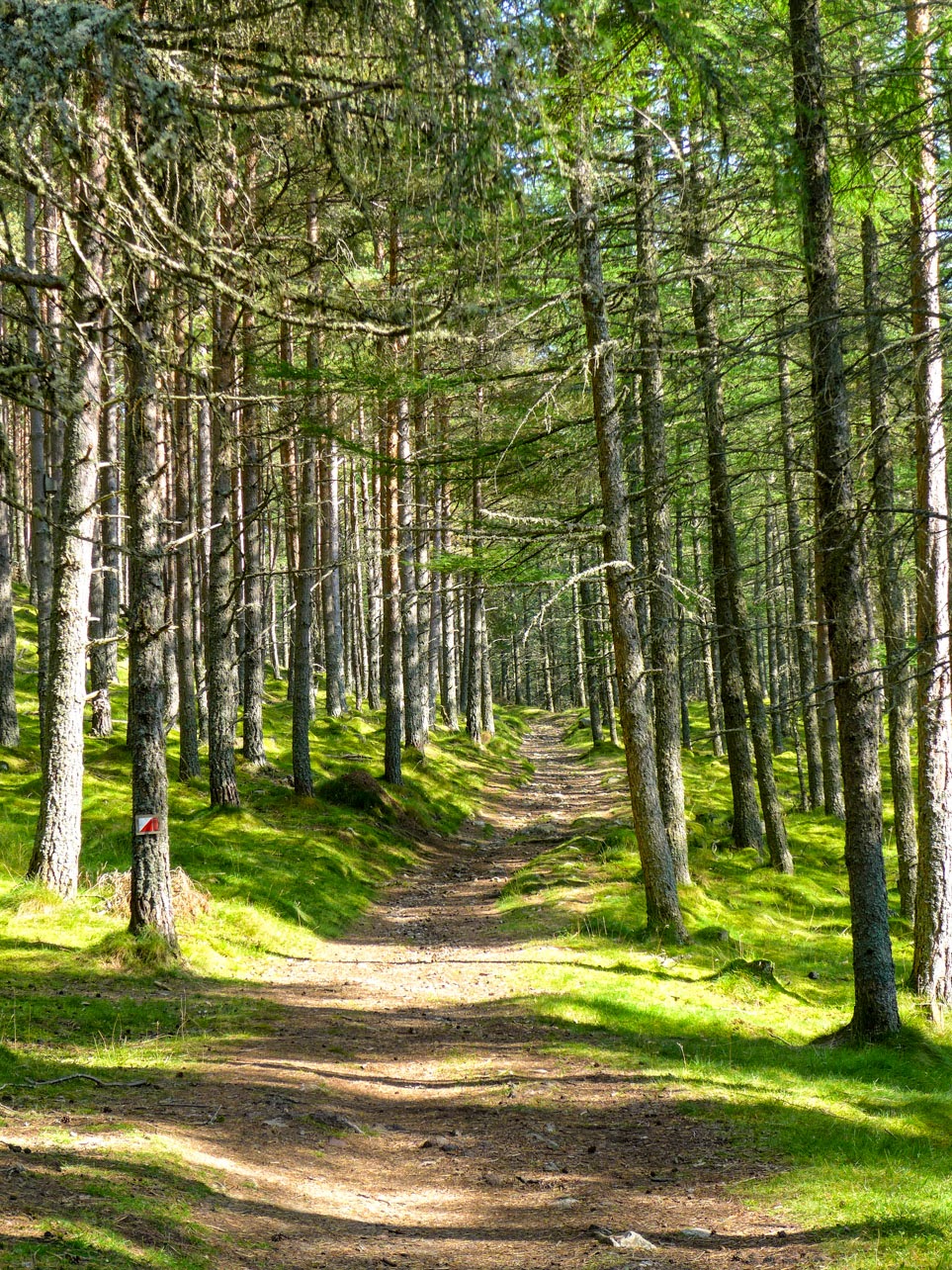 BA(Hons) Photography - Learning Log: Reading and Research: Eliot Porter.