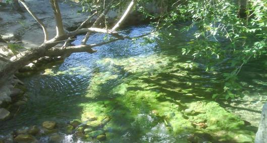 Visit Flores Island: Mengeruda Natural Hot Spring In Bajawa Flores