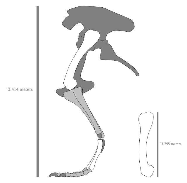 Sauropodomorph Lair: Samson's height pt2