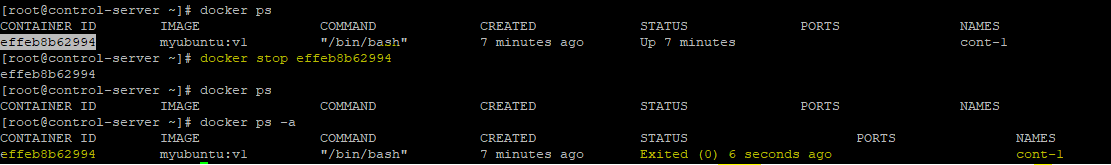 Tech Capsule Docker Container Lifecycle 0593