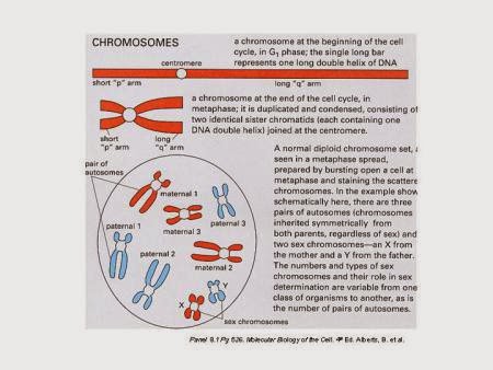 BLOQUE 2: RECONOCES Y APLICAS LOS PRINCIPIOS DE LA HERENCIA