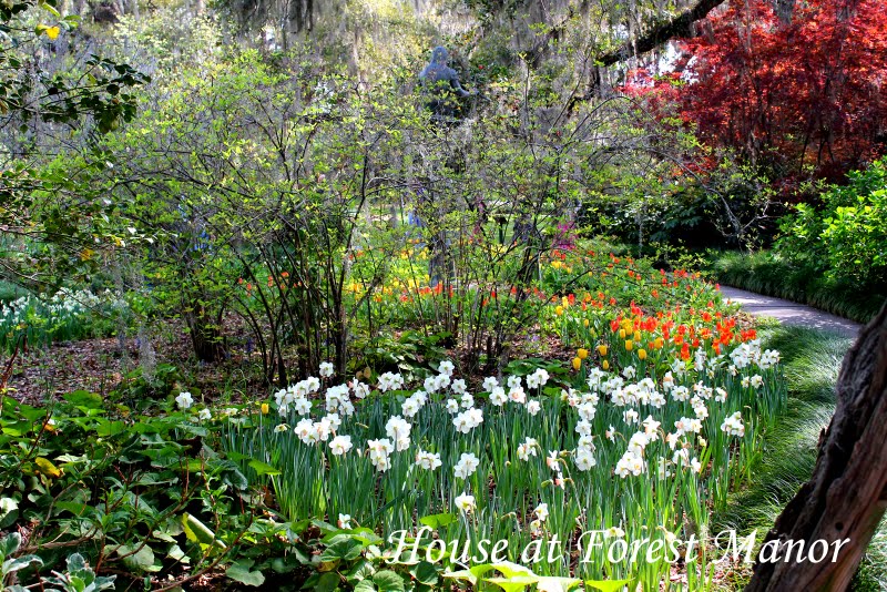 House at Forest Manor: Brookgreen Gardens, Part Two