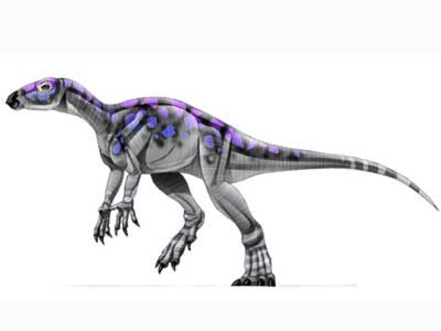 Jurassic Park Saga: A Cinematic Universe: Jurassic June Day 14 ...