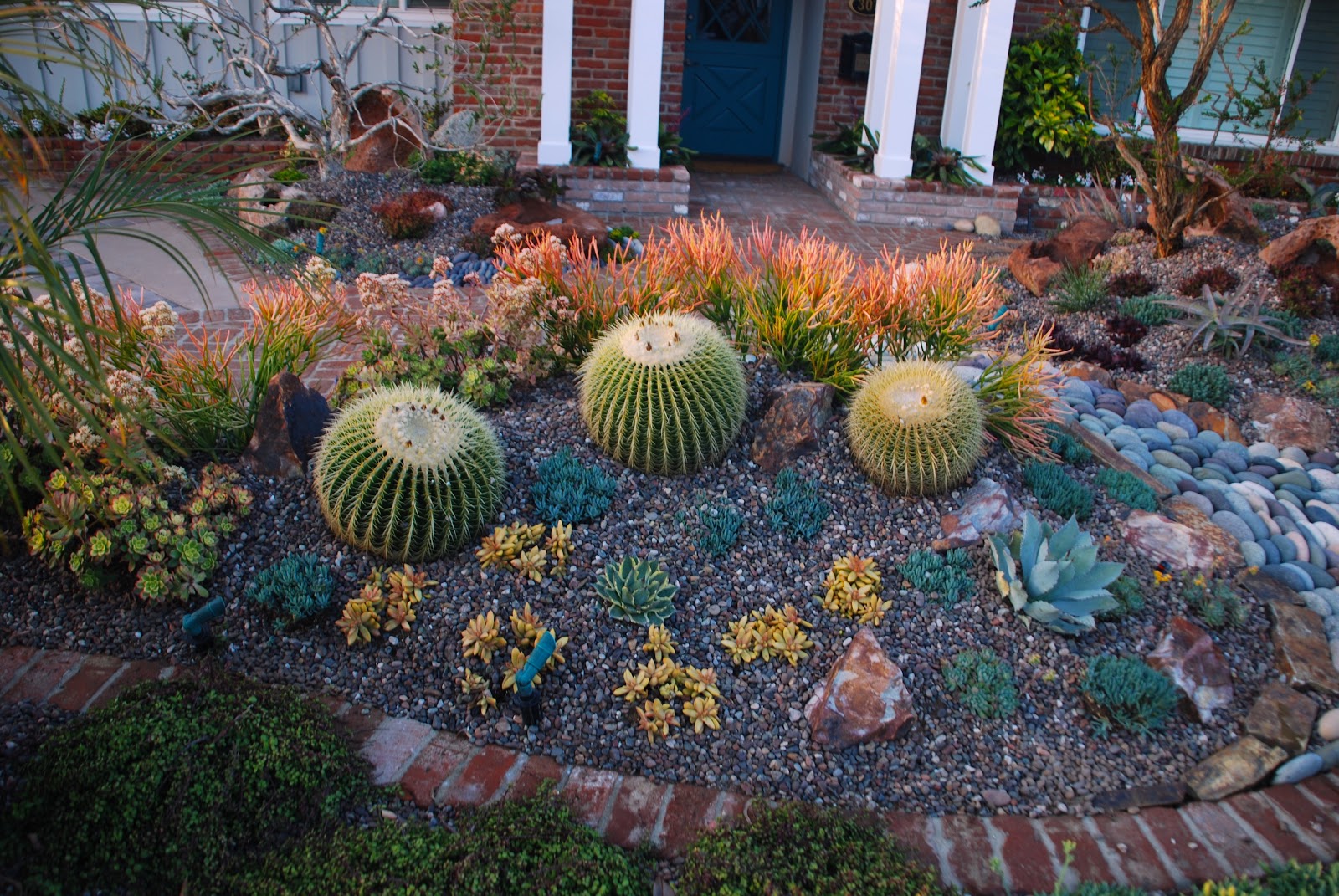 36 Cactus Garden Design Ideas : Landscaping with Cactus and Rocks