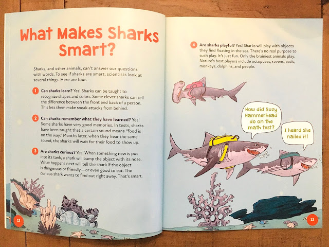 My Teacher Sleeps in School: Tales of a 3rd & 4th Grade Teachaholic