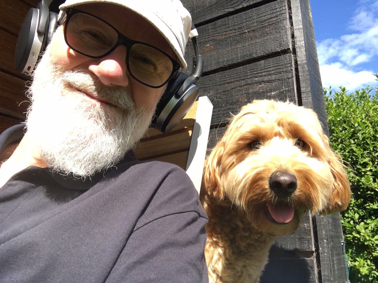 Northern Highlight - Jonathan Meres