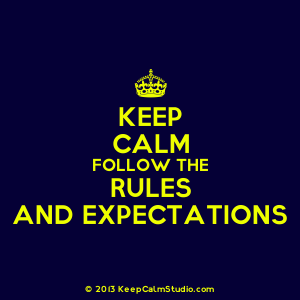 Submissive Missions: Rules vs. Expectations