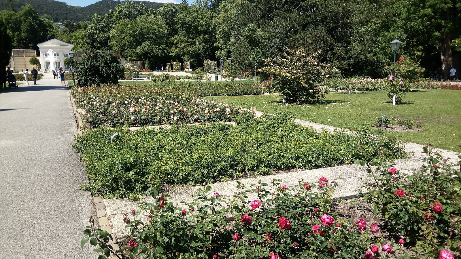 Fr. Mayer: Baden, Rosarium