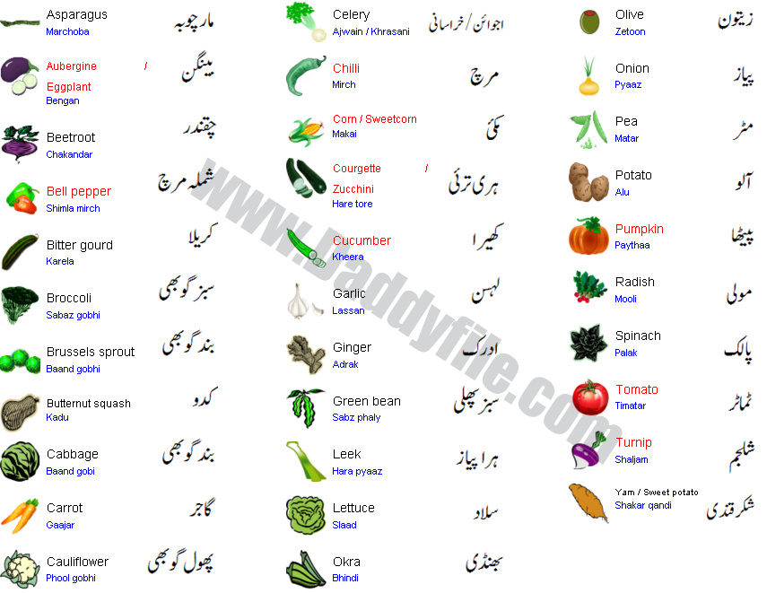 98 Vegetables Name In English And Urdu With Pictures Deli Posts