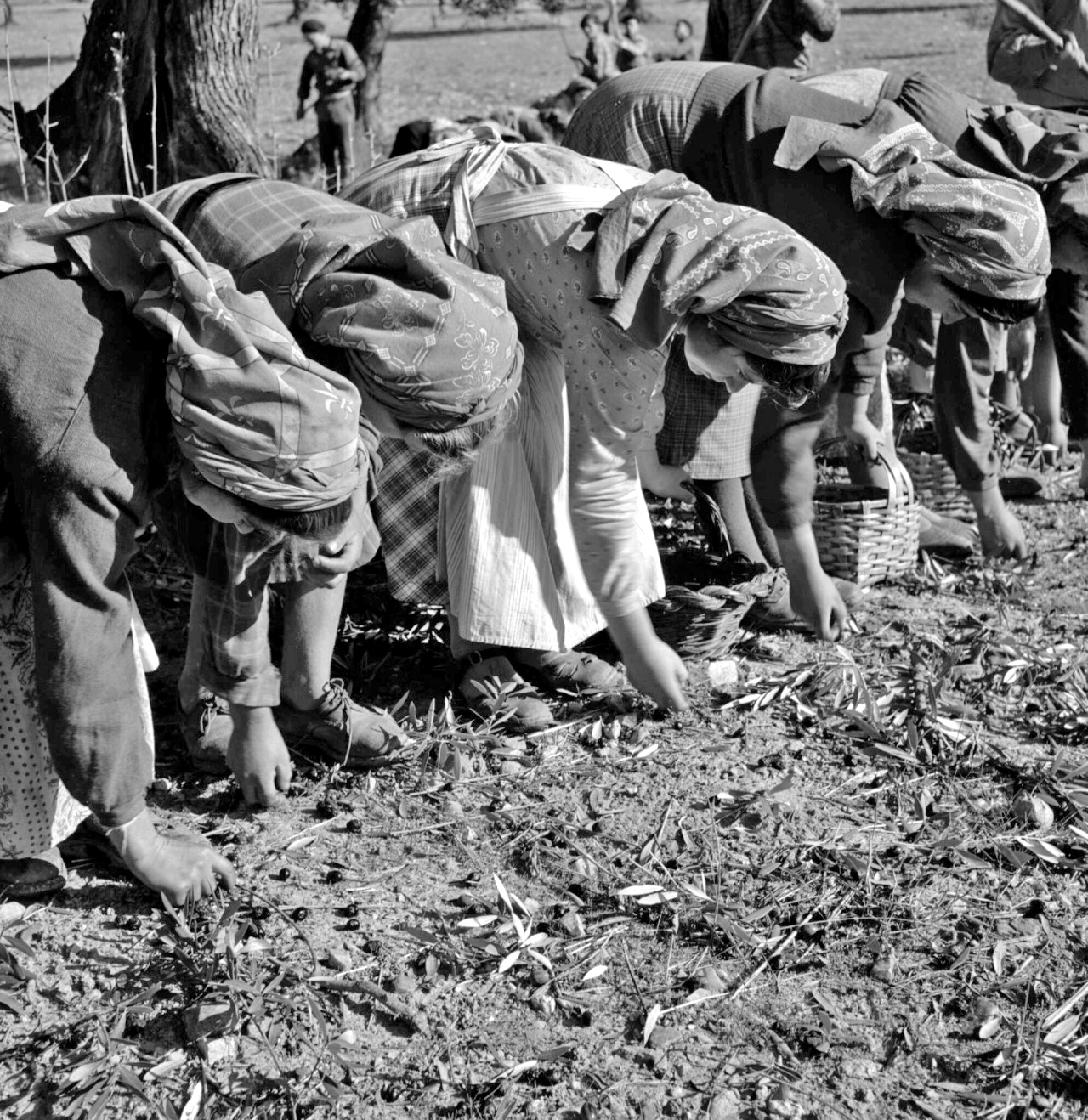 History In Photos Artur Pastor history-in-photos-artur-pastor