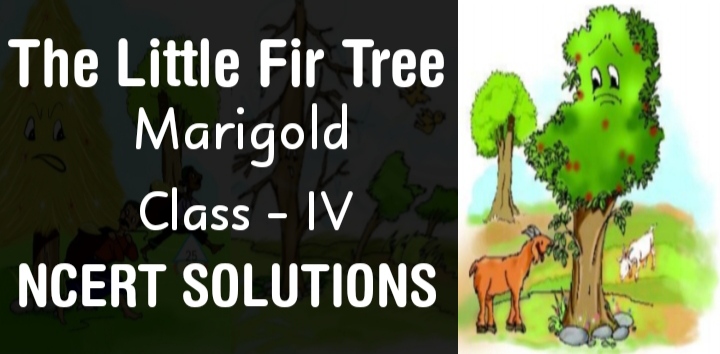 The Little Fir Tree Class 4 NCERT Solutions Edunation19 the-little-fir-tree-class-4-ncert-solutions-edunation19
