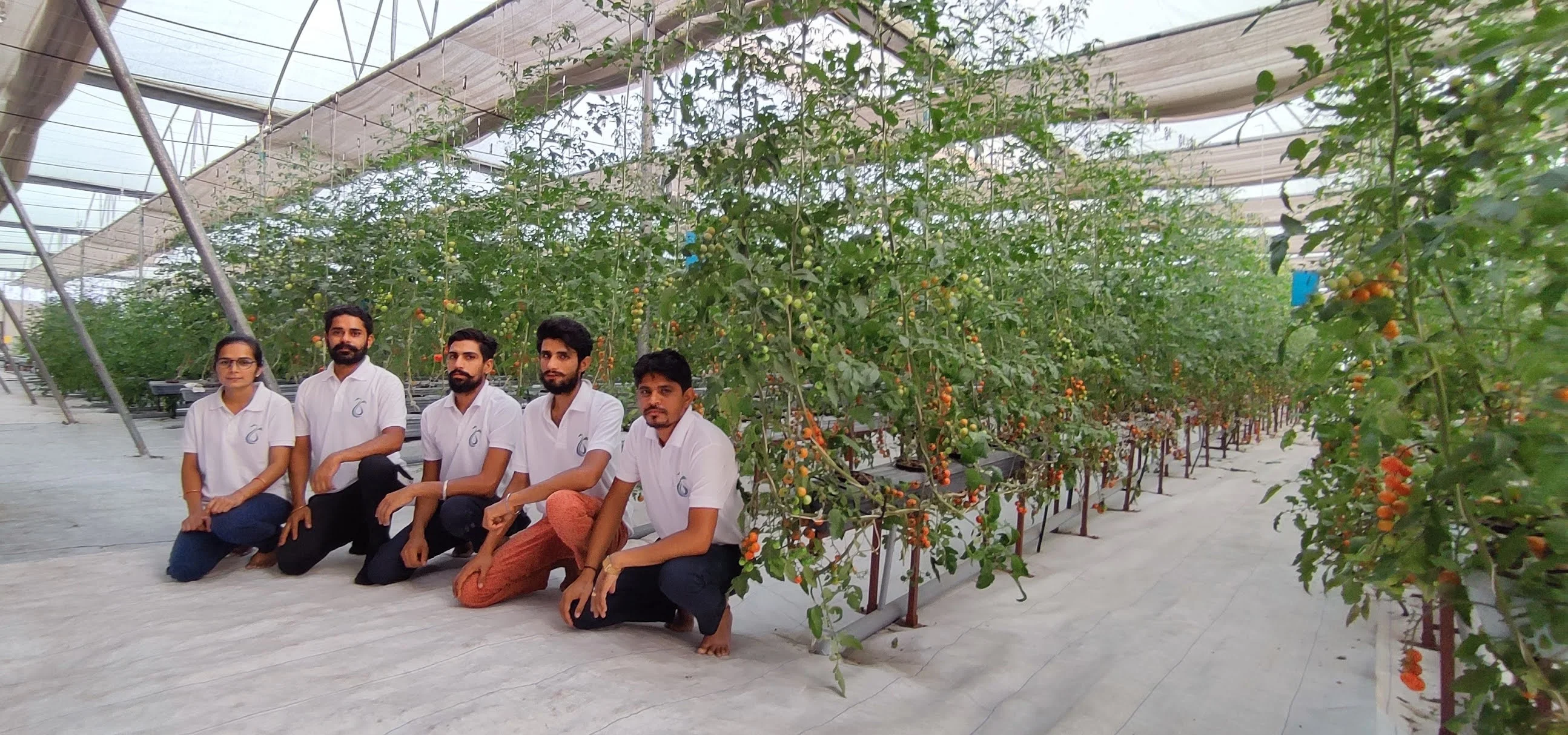 Vegetable Growing Tech Startup Eeki Foods Raises Funding from GSF ...