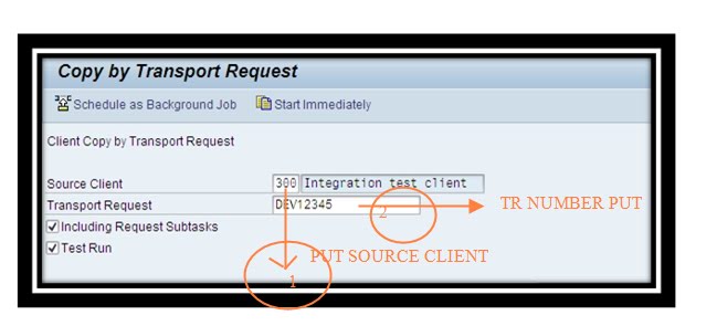 Sap Abap For Best Practice And Travel Related Guide Scc1 In Sap