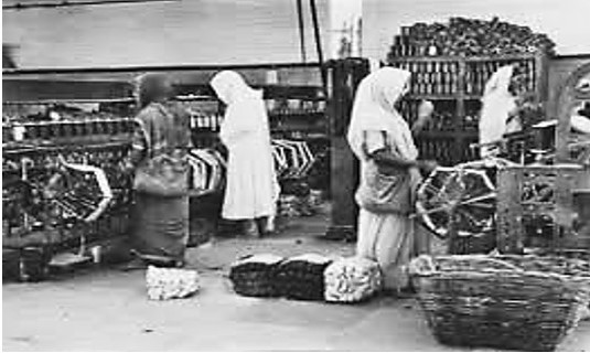 X.Chapter 5.History.The Age of Industrialisation.Learning