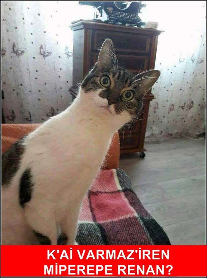 ARHAVİ ARKABİ HACİŞİ: Lazca