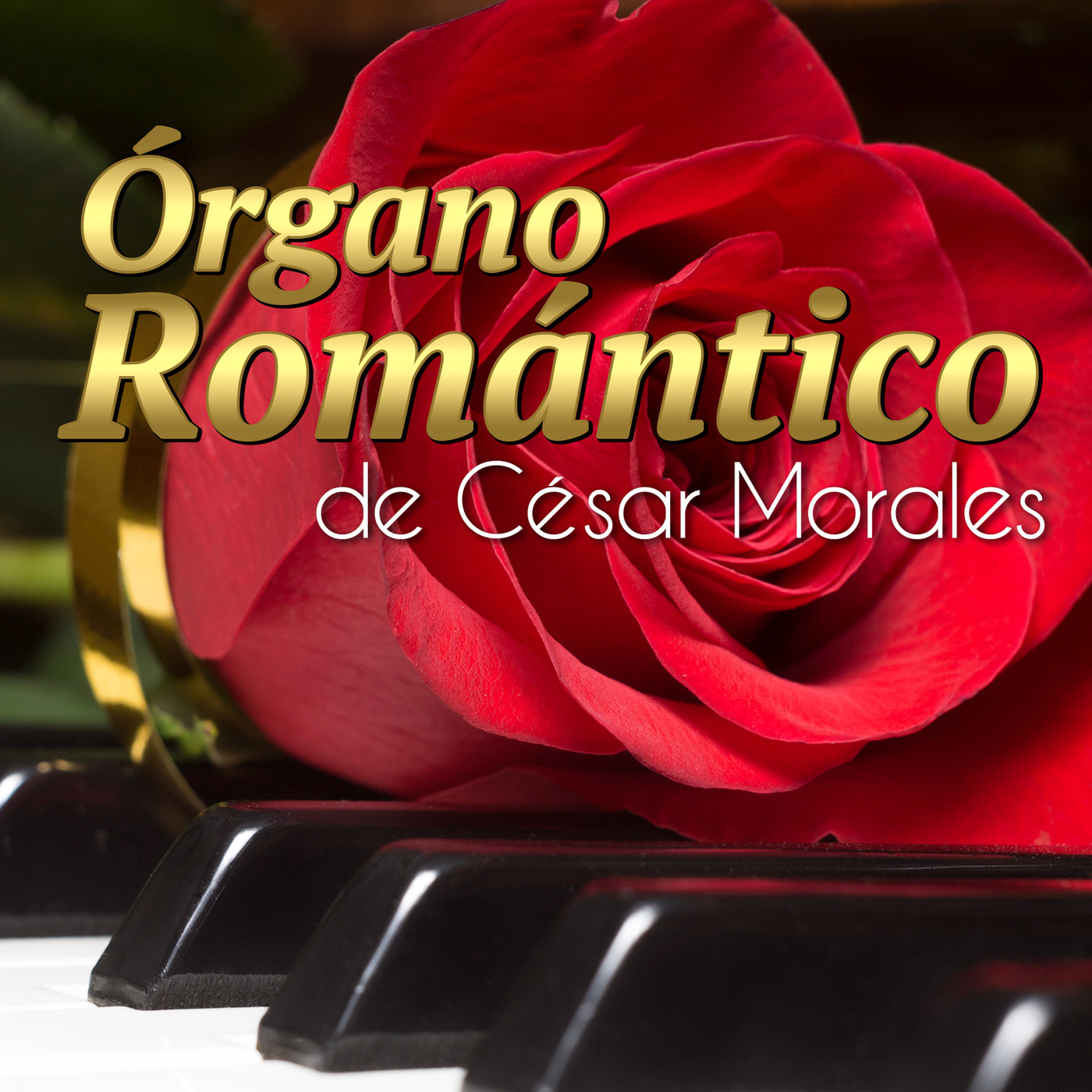 Mis discografias : Discografia Cesar Morales