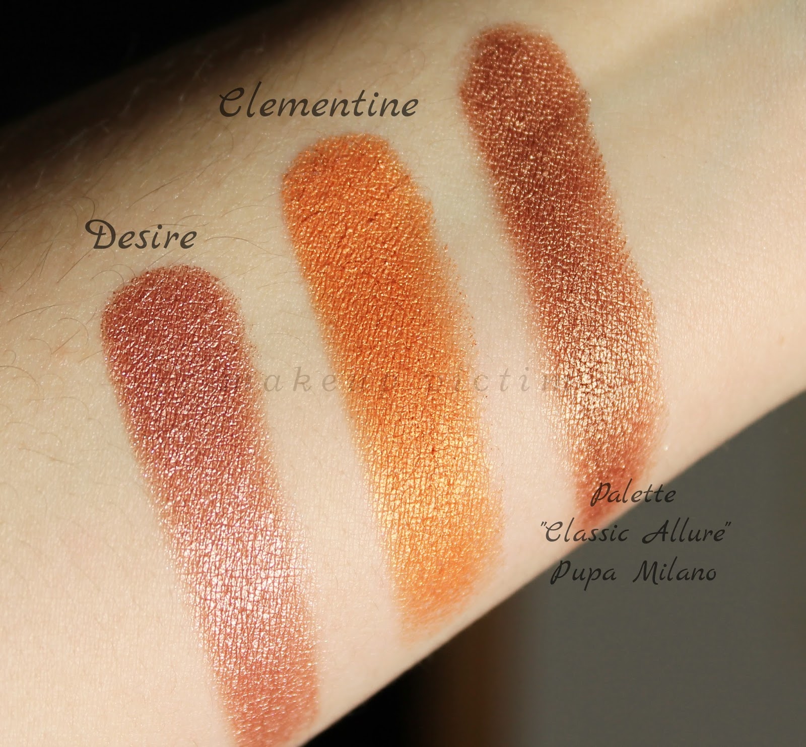 2015 ~ Makeup Victim