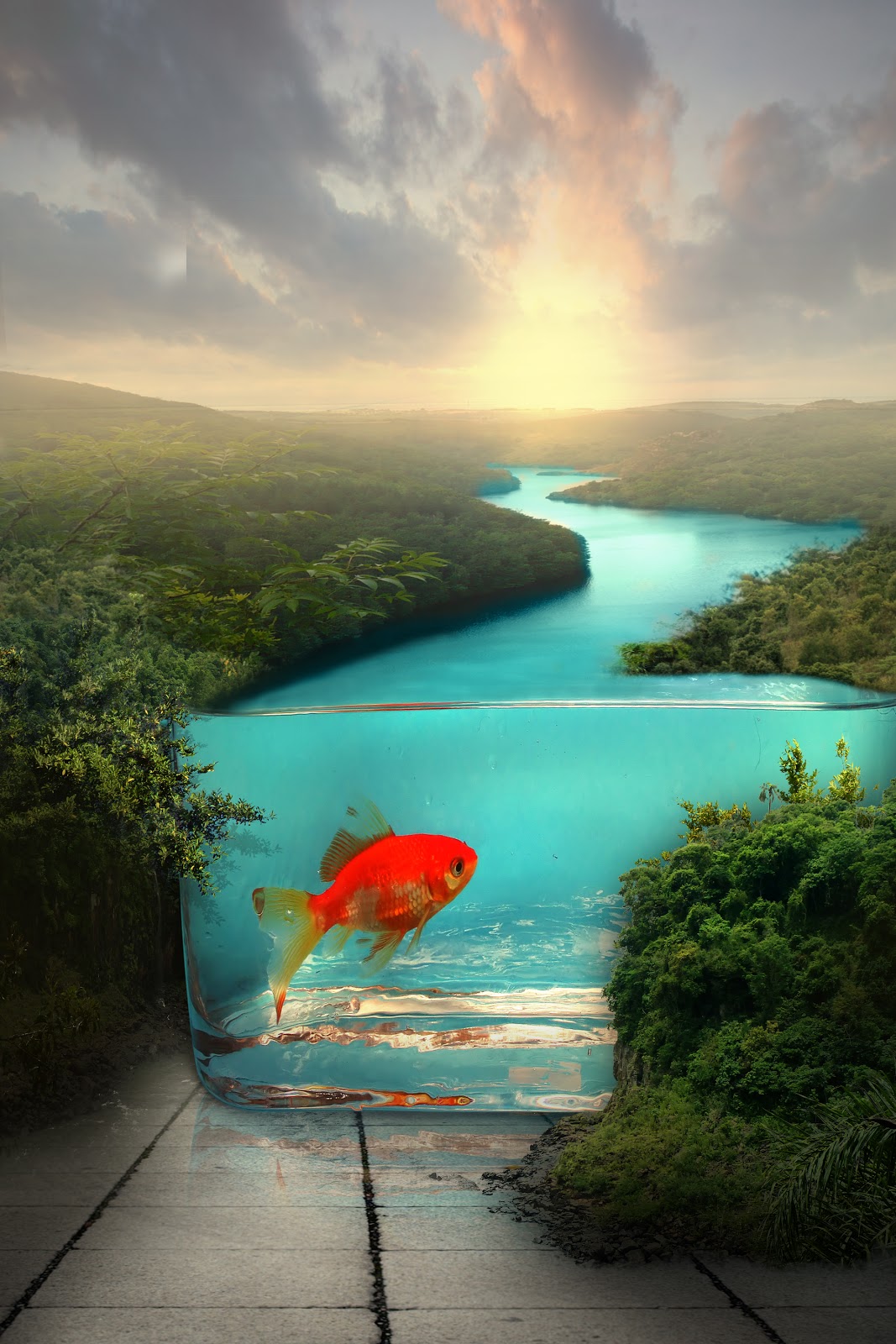 Golden fish - Photoshop Manipulation Tutorial