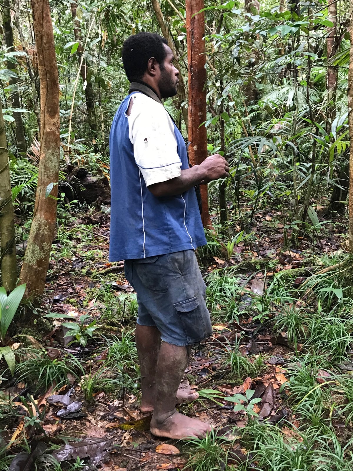 Matt Eade's Blog: Papua New Guinea - Kiunga & Kwatu June 2019 (Part 3)