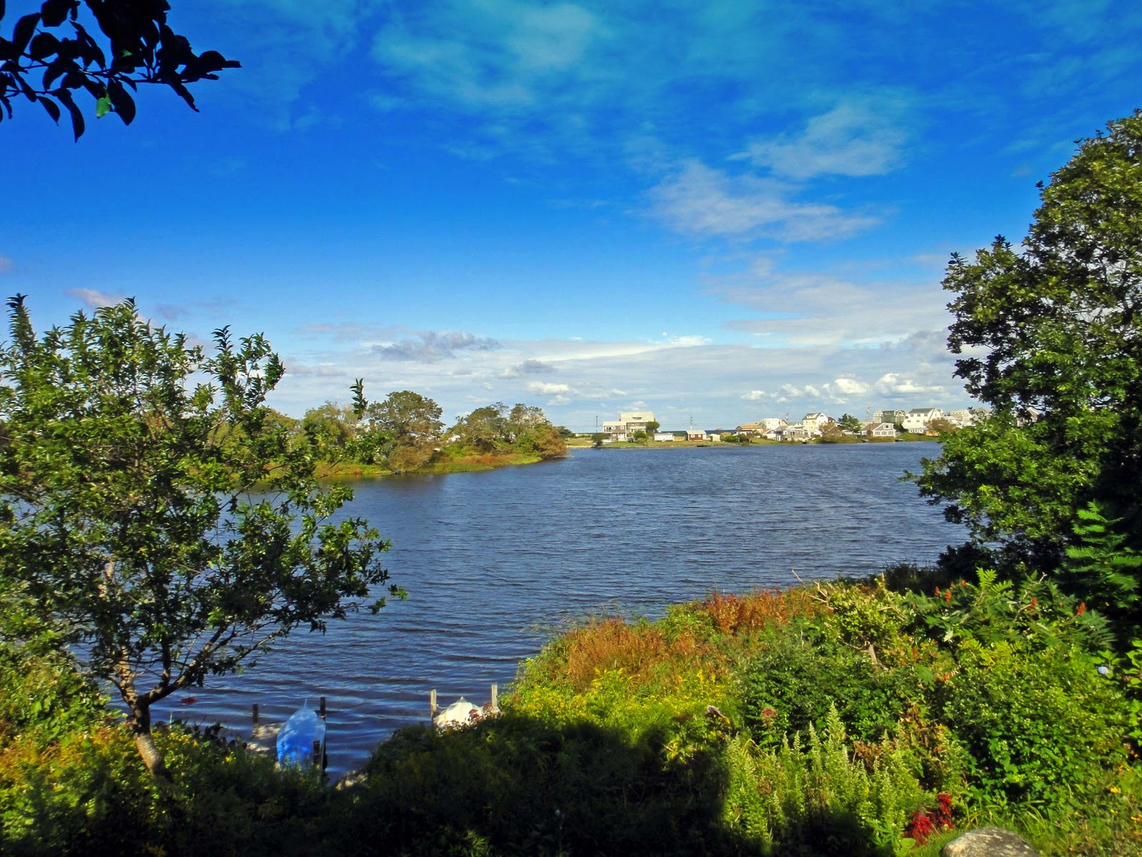 Joe's Retirement Blog: A Day in the Life, Bartlett Pond, Manomet ...