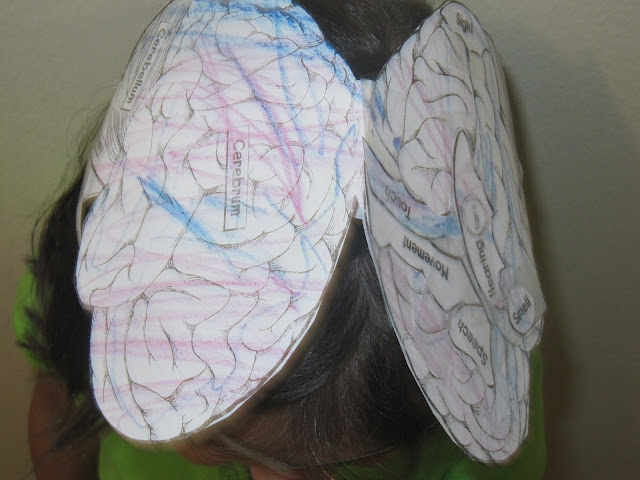 Jewish Homeschool in NYC: Sunday Science: Brain Hat