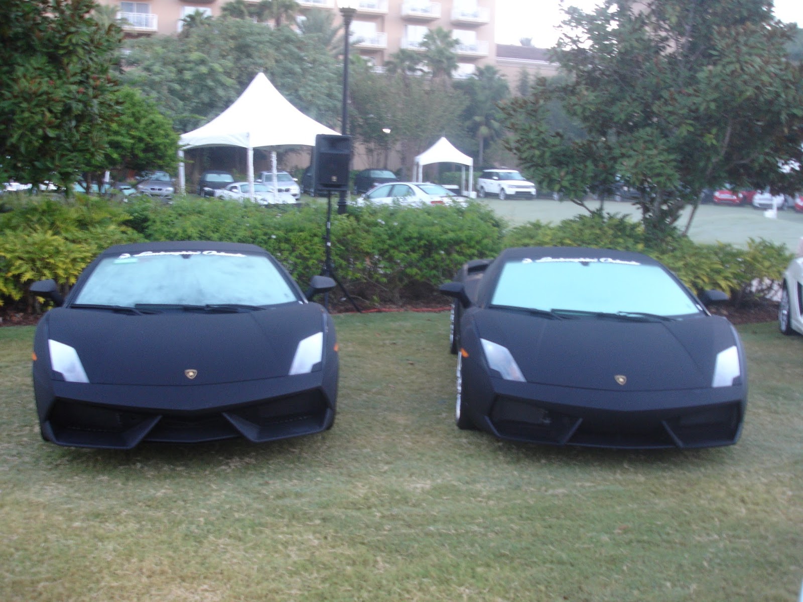 Justin Culmo Photos.