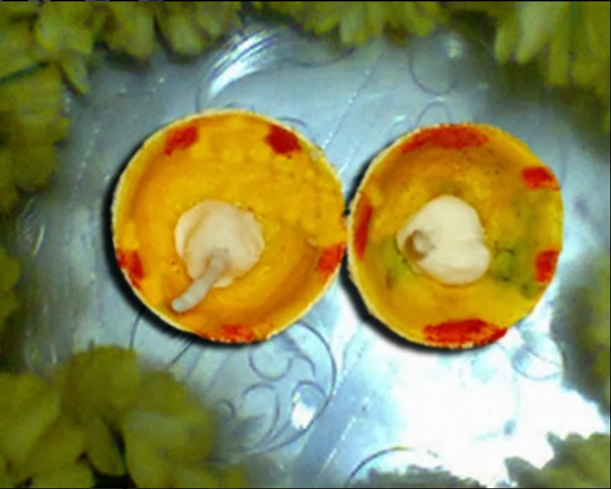 Lemon Diya For Durga During Rahu Kalam Along With Mantra Chant