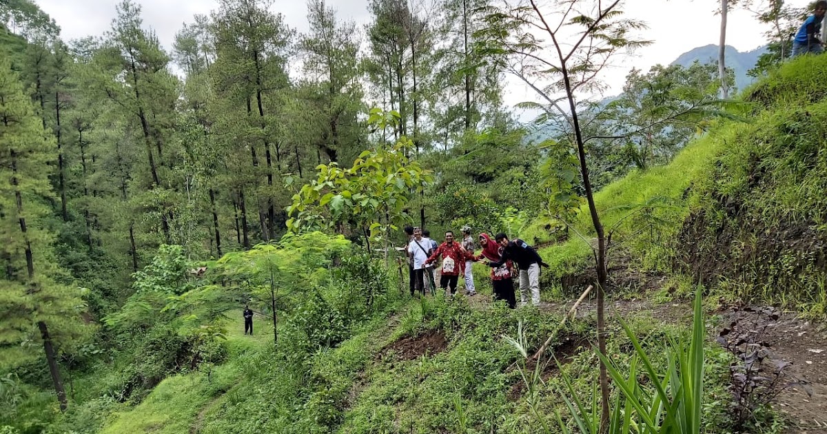 Program kampung Iklim (PROKLIM) ~ Pemerintah Desa Karangpatihan