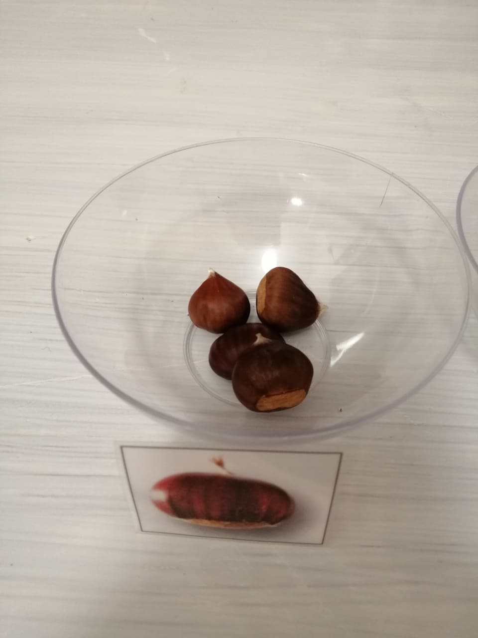 Automne : mathématiques