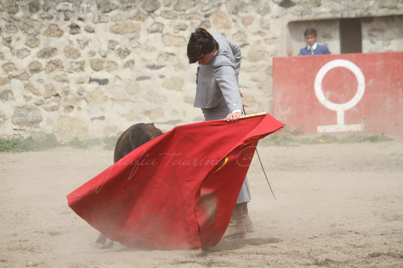 Escuela Cultural de Tauromaquia de Jaén: TENTADERO EN FLORES ALBARRÁN