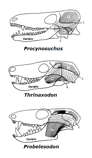 BIOLOGIA PARA A VIDA : 2020