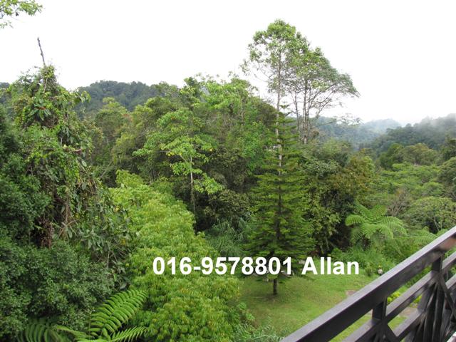 Silverpark Fraser Hill