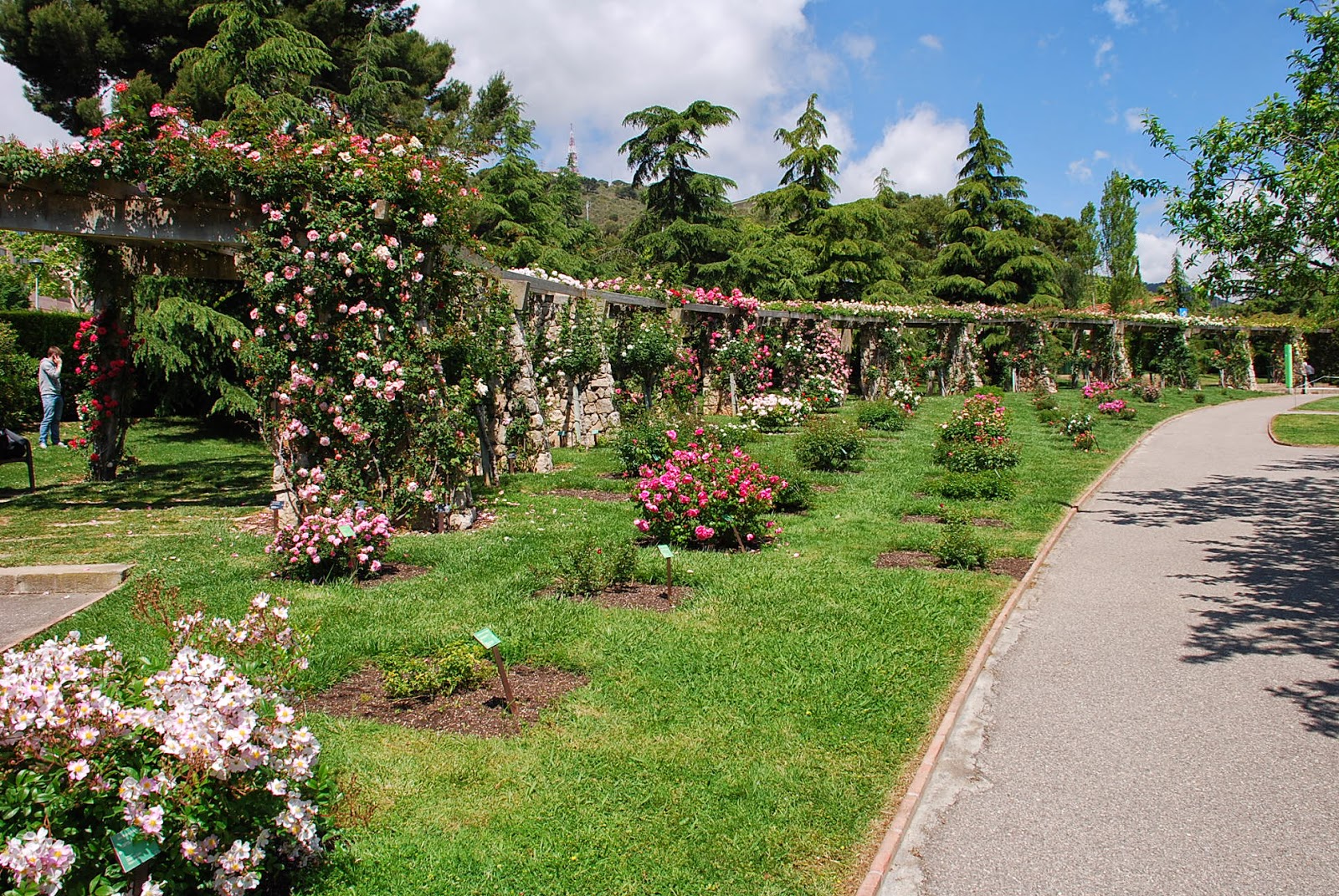 Pequeña montaña (senderismo en familia): Parque Cervantes