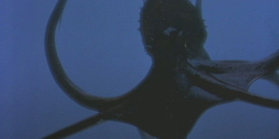 CCC: Clayton's Cinema Countdown : Octopus (2000) Review