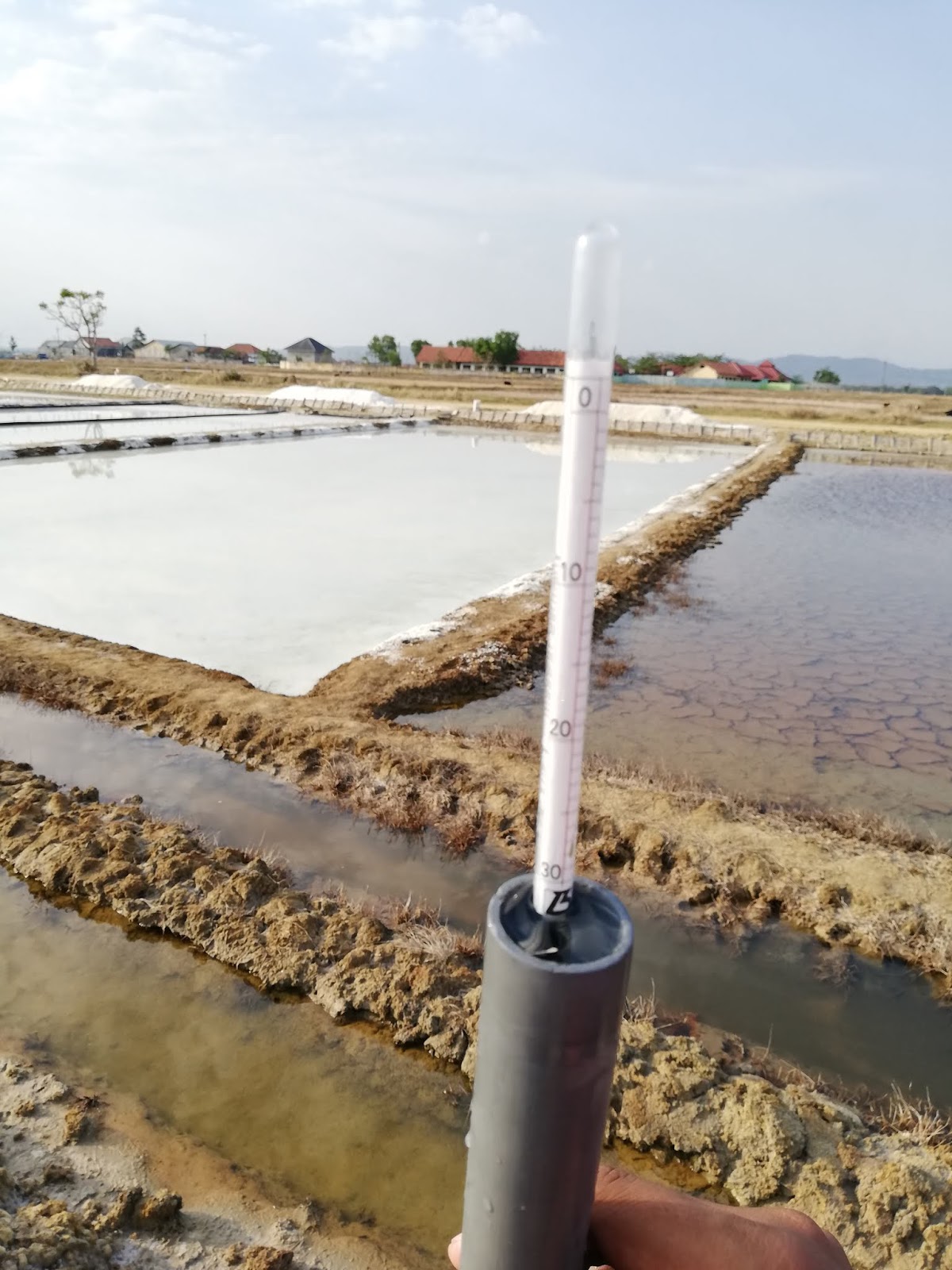 ση ℓα ση: Proses Produksi Garam "Berlian Air Laut"