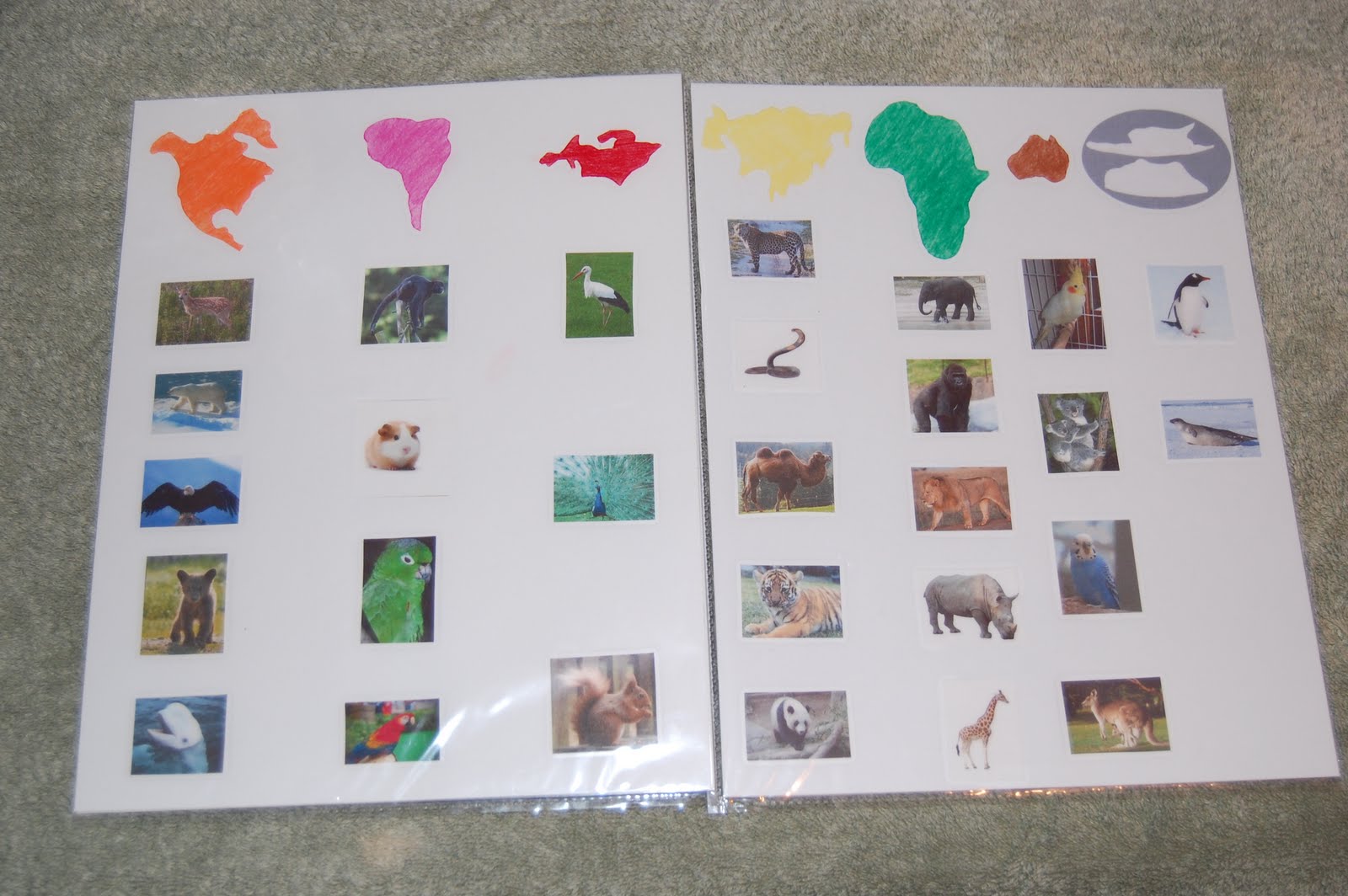 Montessori Design: Animals of the Continents