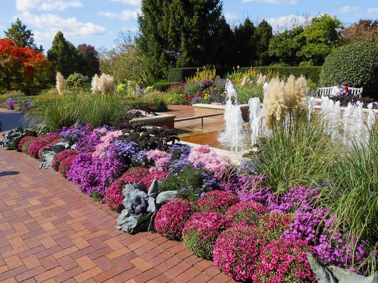 My Virtual Garden 2: Fall Flowers in Chicago