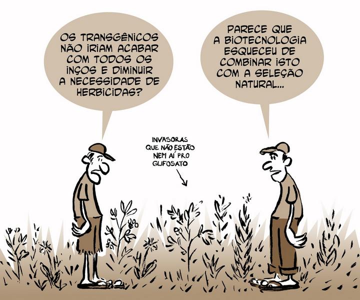 OGMs - Organismos Geneticamente Modificados: O impacto ambiental