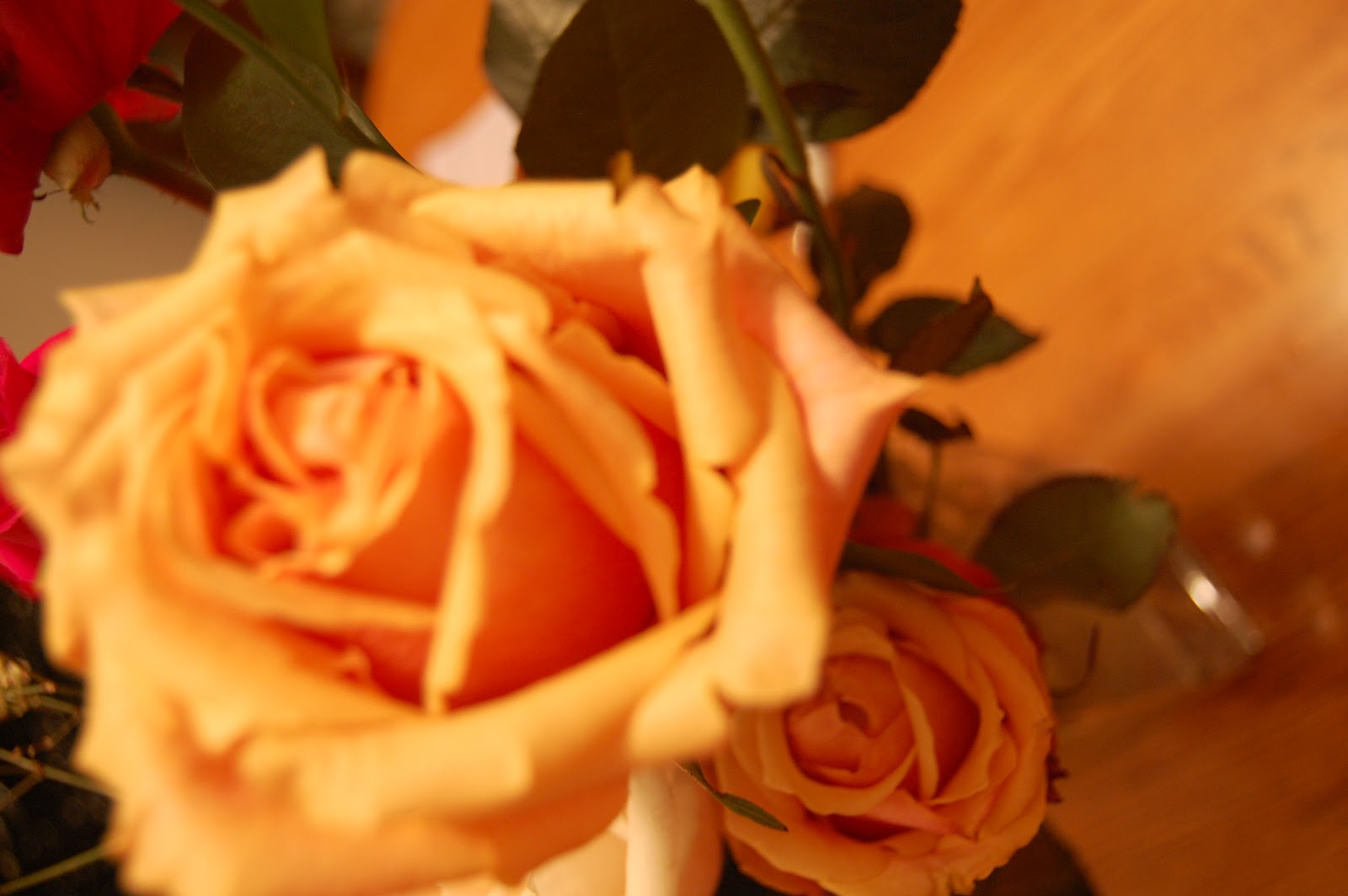 Dancing Words Sexy Roses