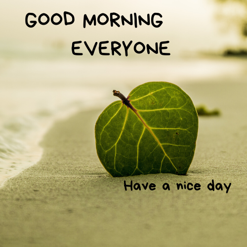 15+ Good Morning Everyone Images,Pics,Pictures