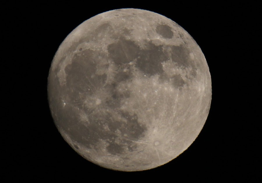 The Natural History of Bodega Head: June moon