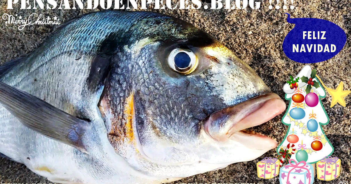 PENSANDO EN PECES: Feliz Navidad