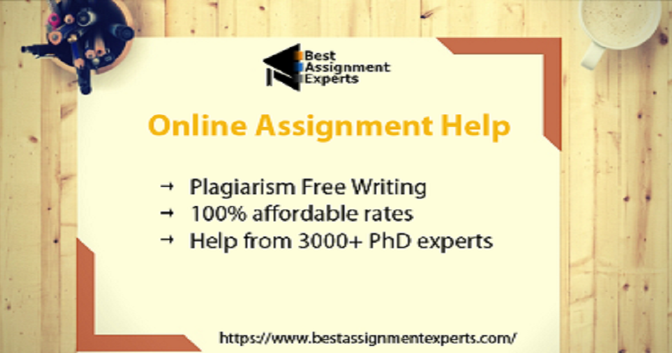 Assignment Expert